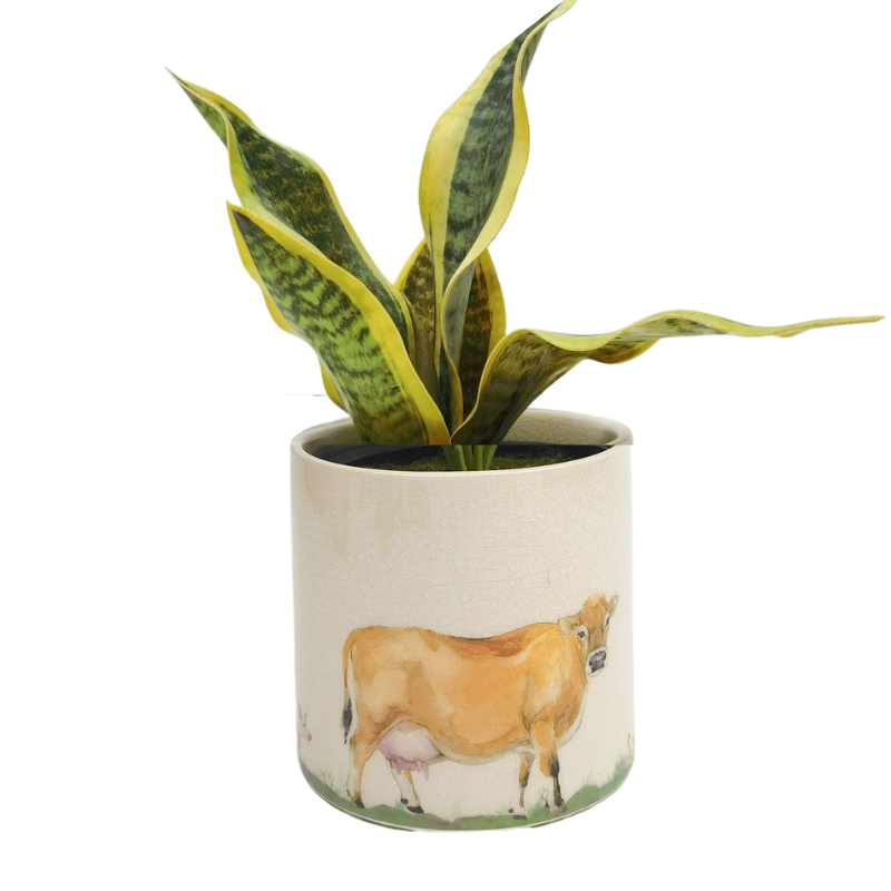 Urban Products Farm Animal Planter Pot 14cm — Spoilt Gift & Homewares